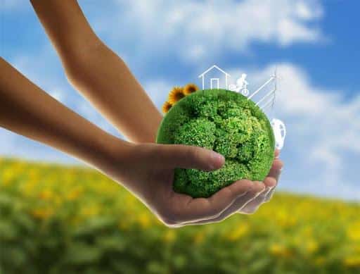 What is the difference between environmental science and environmental studies? - All difference